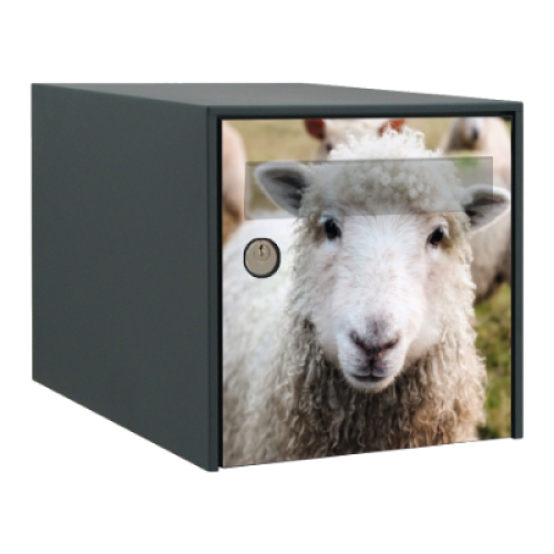 Sticker boîte aux lettres personnalisé Mouton rigolo | MPA Déco