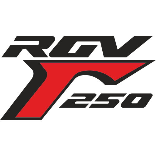 Sticker SUZUKI RGV 250 Couleur | MPA Déco