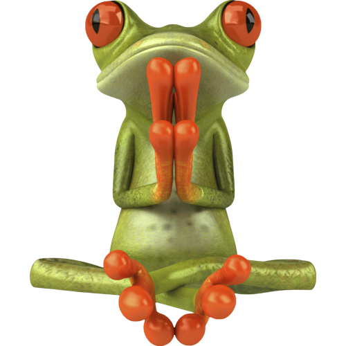 Sticker grenouilles | MPA Déco