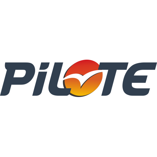 Sticker Pilote Logo Dégradé | MPA Déco
