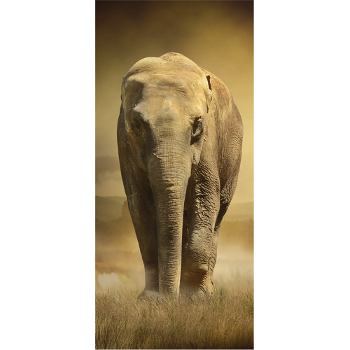 Sticker Frigo Elephant | MPA Déco