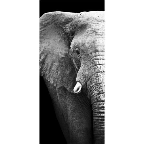 Sticker Frigo Elephant 2 | MPA Déco