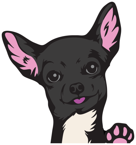 Sticker Chien Chihuahua - ref.d22537 | MPA Déco